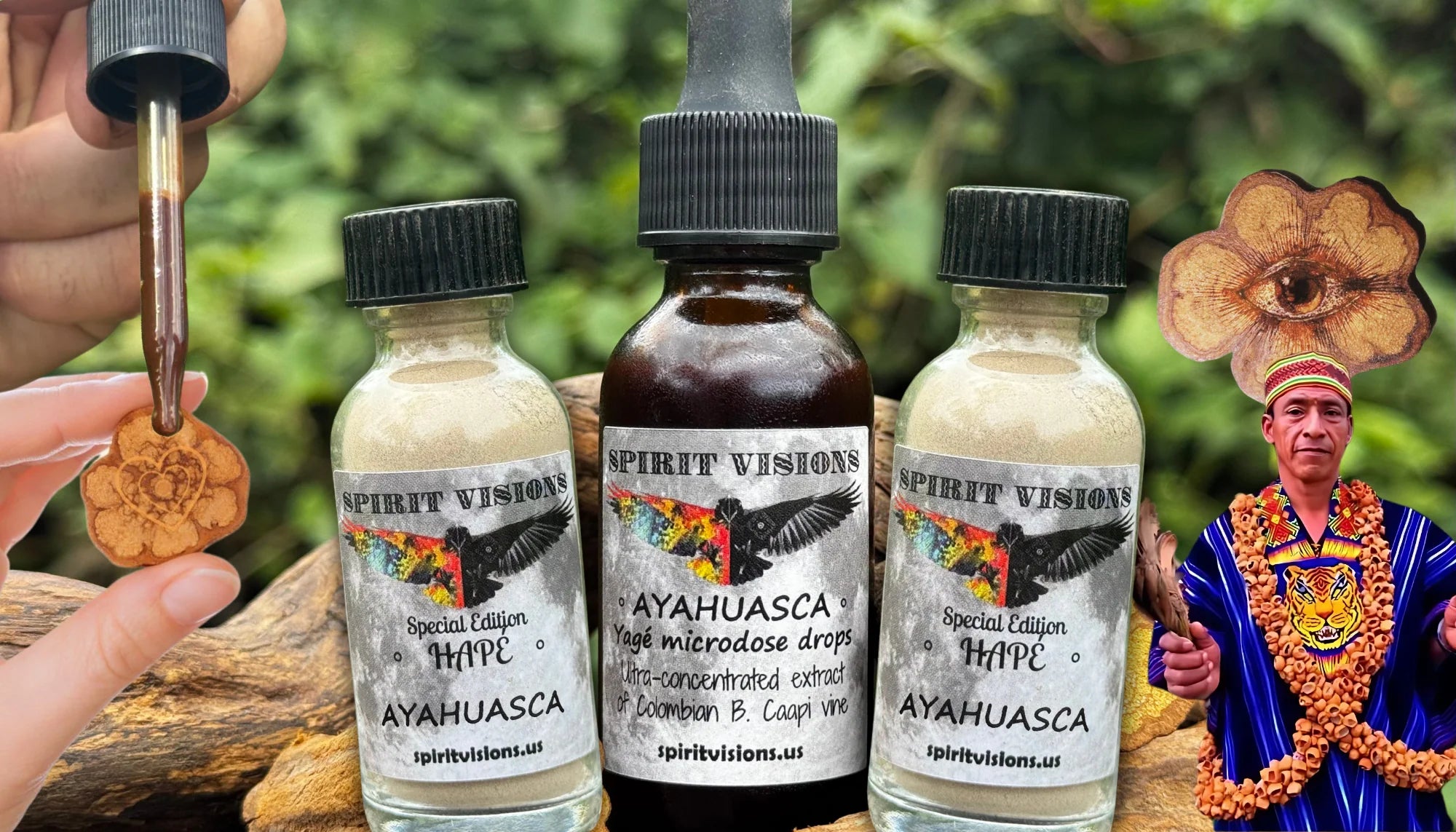 What Is Kambo? Healing, Detox & Sacred Amazonian Ritual – Spirit Visions